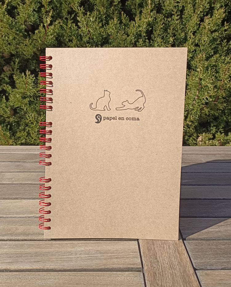 Colecciones – Papel en coma